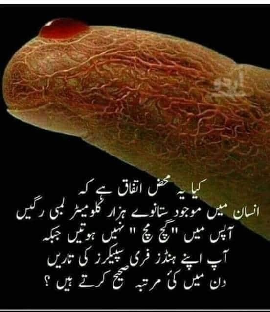 Thread by @A4R_Ali on Thread Reader App – Thread Reader App