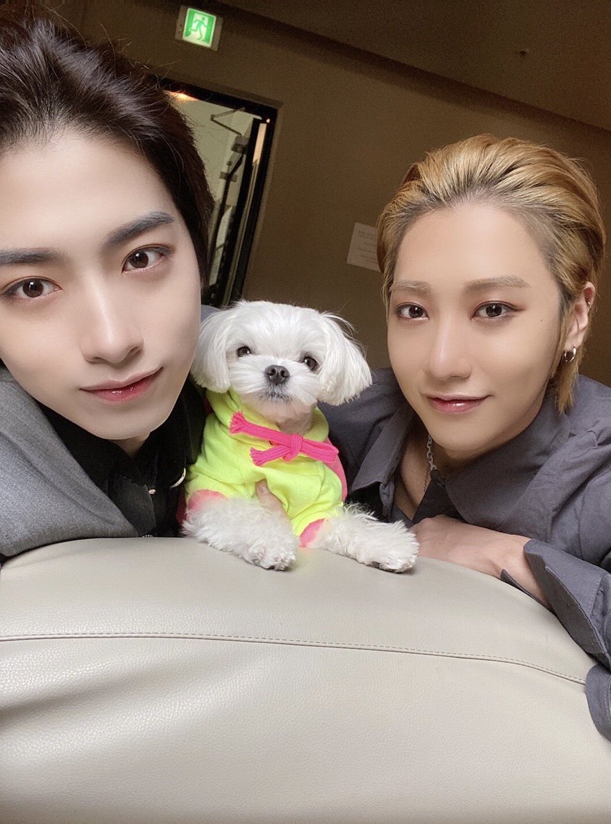 ONEUS Twitter Update with Xion [ft. Dongmyeong and Kkomi] (201013) : r ...