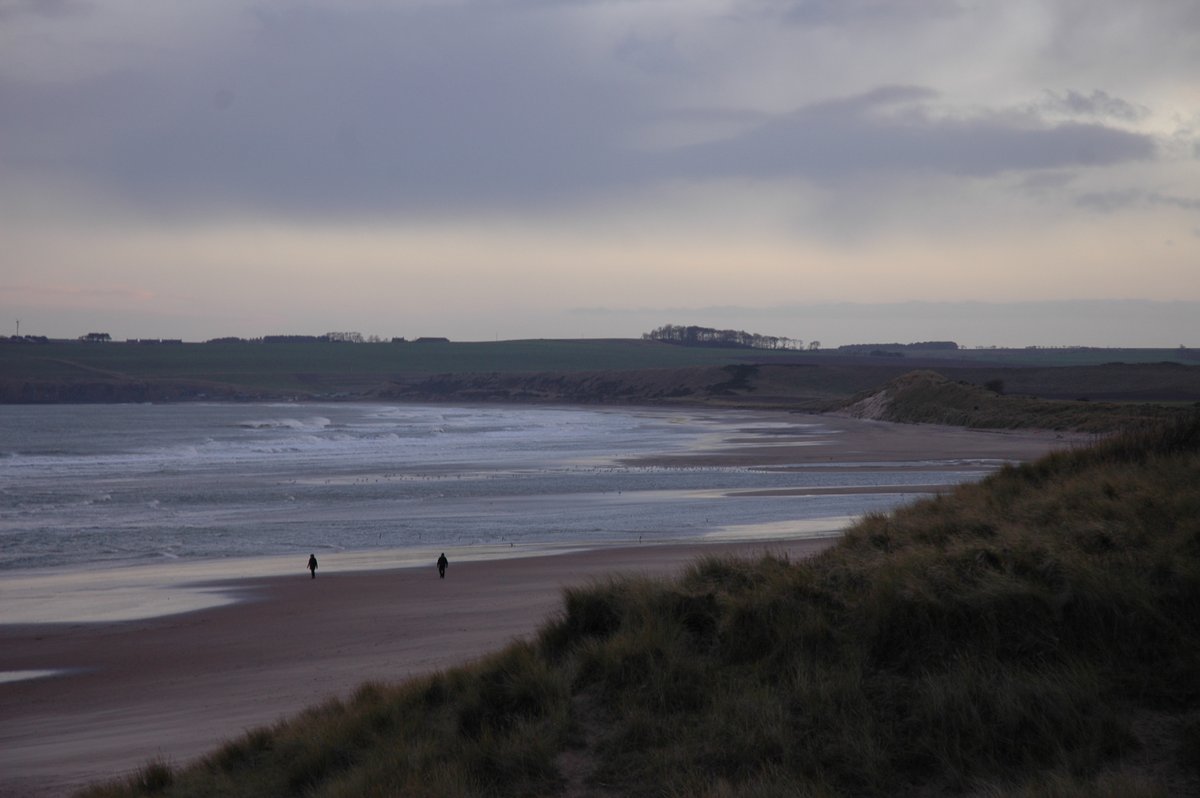 Angus and Dundee GeoSciences Society on Twitter - Plus amazing geology ...