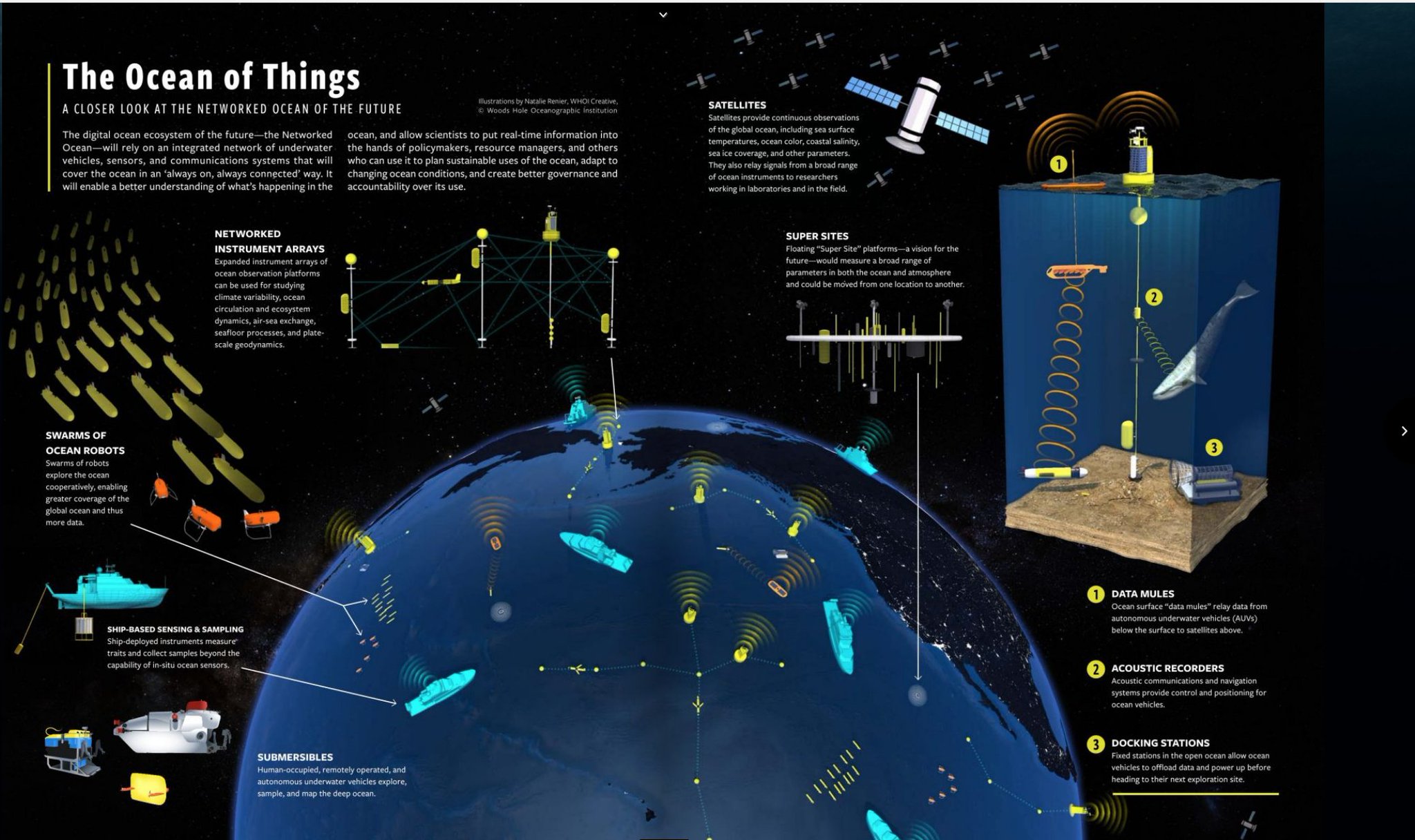 McLane Research Labs on Twitter: "#mediaMonday #IoT has changed ocean ...