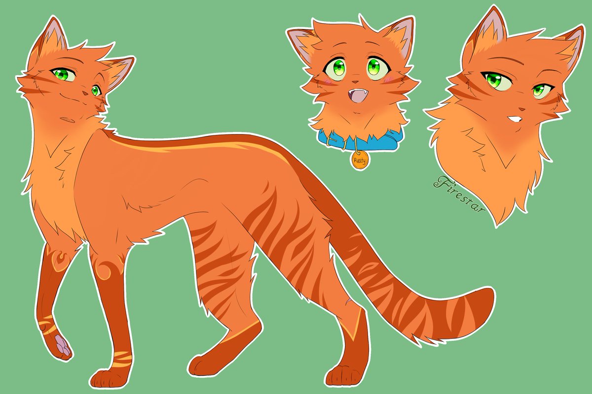 Warrior Cats Firestar And Graystripe Amazon.com: Warrior Cats