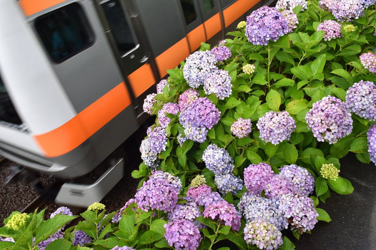 狂乱のｻﾝｼｬｲﾝ233 on Twitter: "RT @sunshineE233: E233-0教を布教したい"