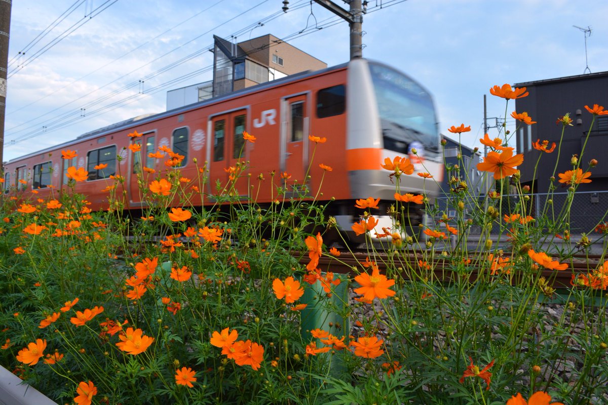 狂乱のｻﾝｼｬｲﾝ233 on Twitter: "RT @sunshineE233: E233-0教を布教したい"