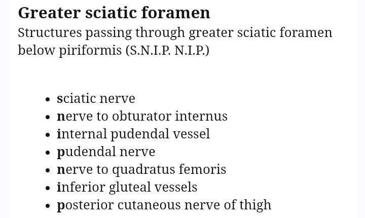 Greater Sciatic Foramen Contents Mnemonic Medicowesome: Sciatic Nerve