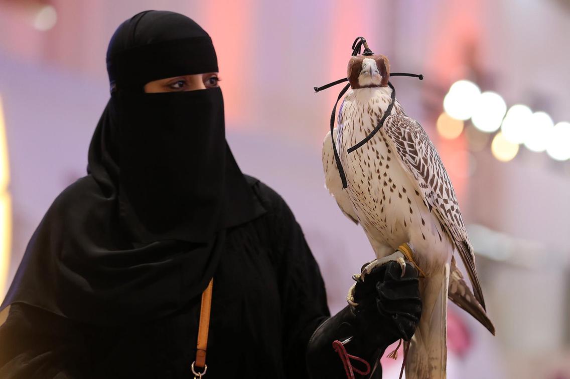 Thread by @DeniseW003 on Thread Reader App – Thread Reader App