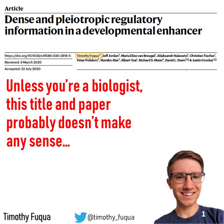 Michelle DeVore (@MichelleLDeVore) | Twitter