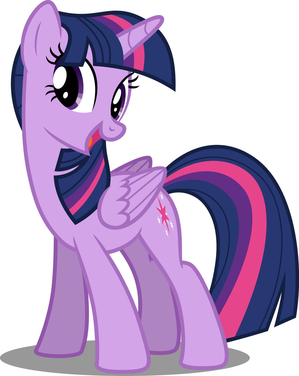 Twilight Sparkle Alicorn Princess