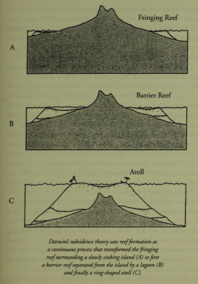 Atoll Formation