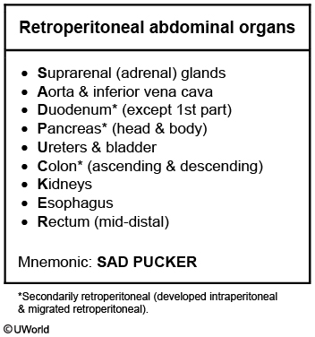 Retroperitoneal Organs