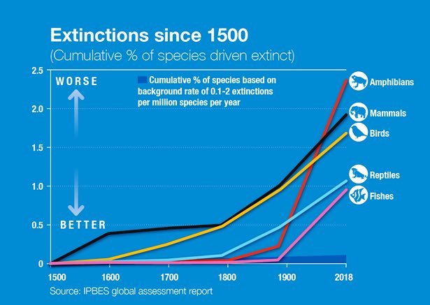 Animal Extinction Chart
