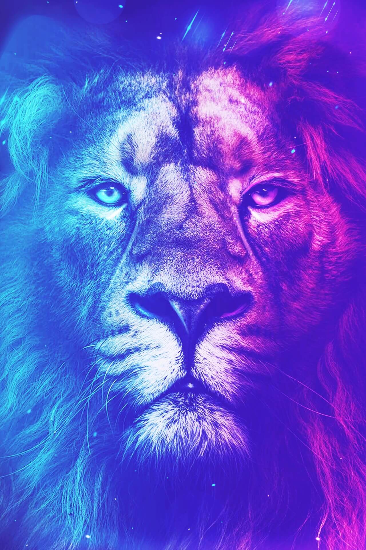 Neon Lion Wallpaper