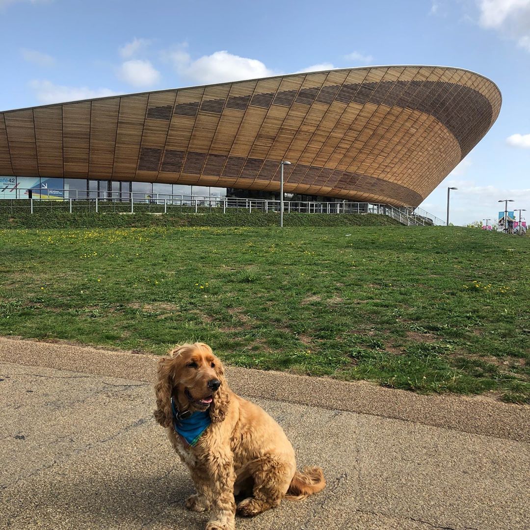 Welcome to Chobham Academy