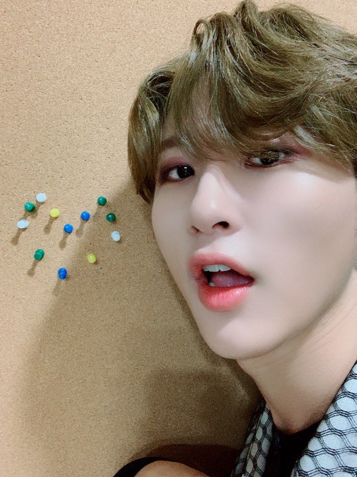 natalia 🌸 pls stan dkb (@sephiryn) | Twitter