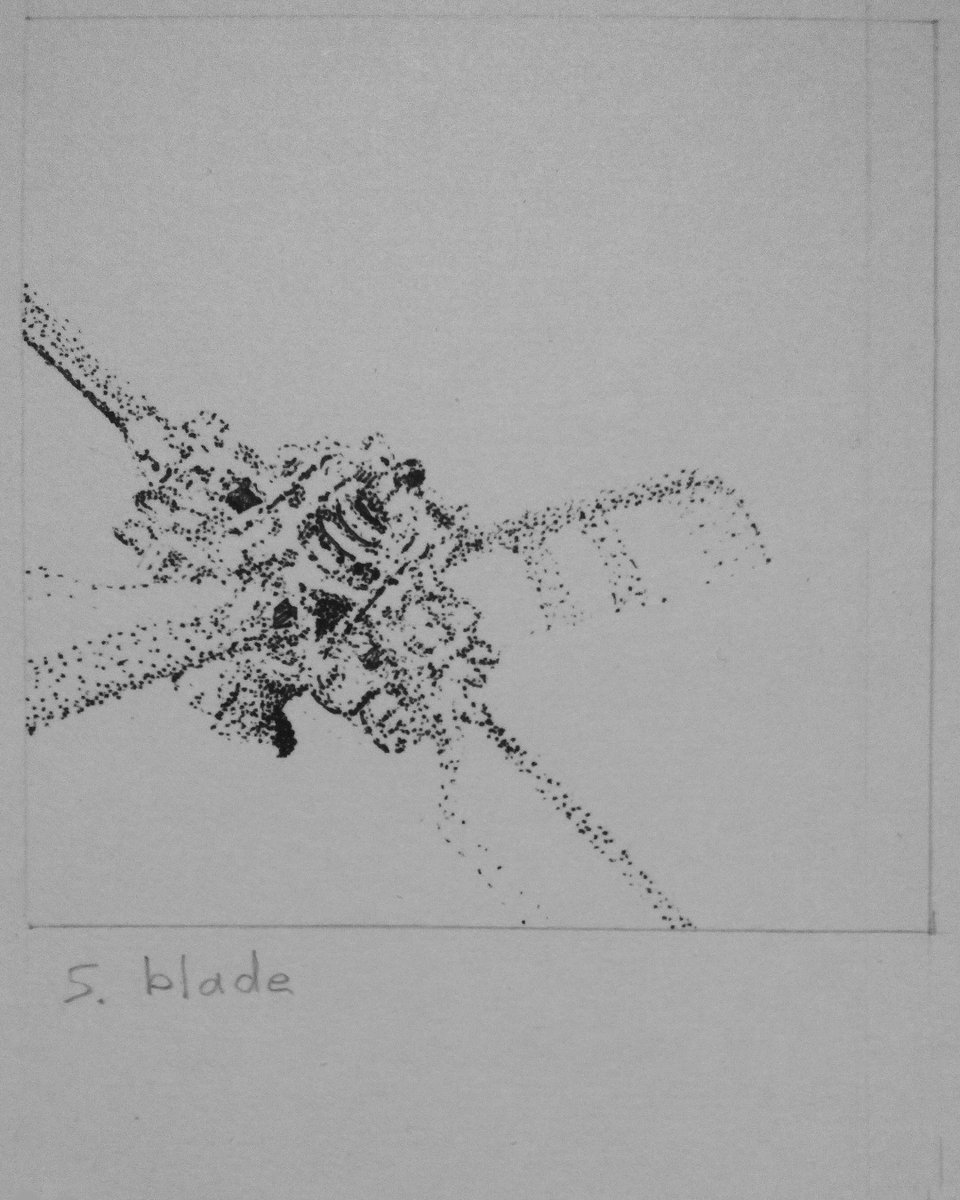 Smailik (@smailikarts) さんのイラスト・マンガ作品まとめ (13 件) - Twoucan