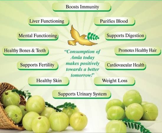 Health Benefits Of Amla