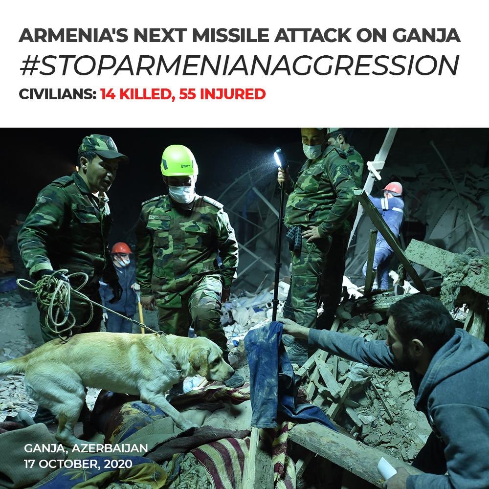 Narmin (@narmin_96_) | Twitter