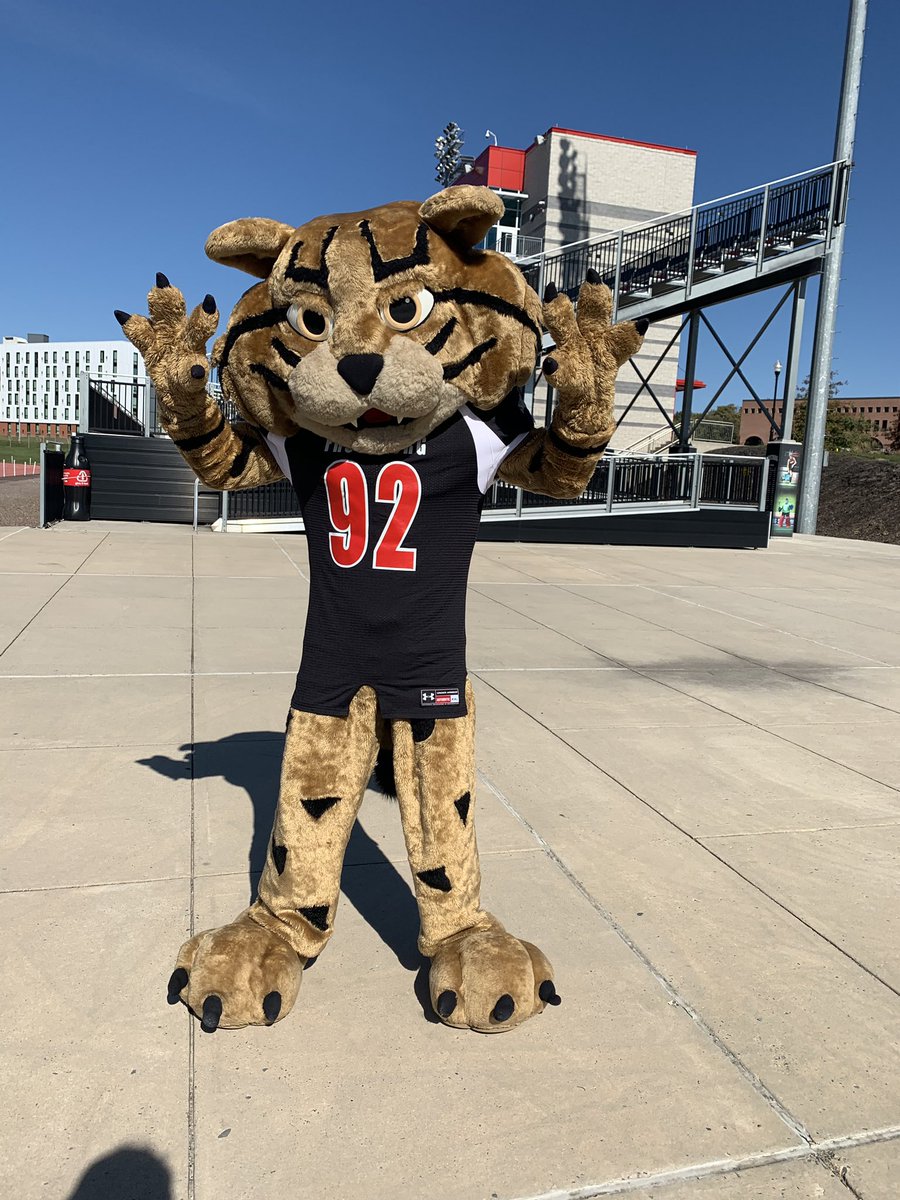 Drawing & Illustration Digital Bates Bobcats svg Bobcats Mascot svg ...