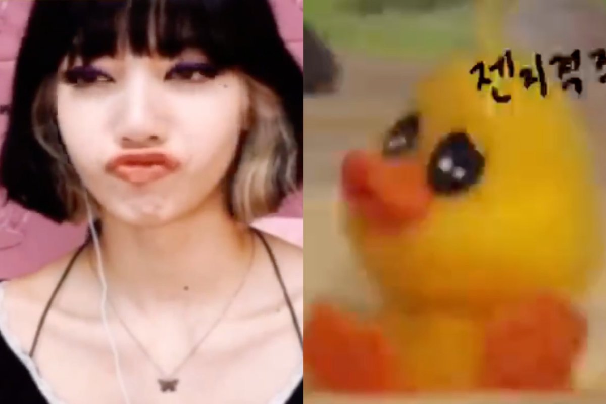 Lisa Duck's Instagram, Twitter & Facebook on IDCrawl