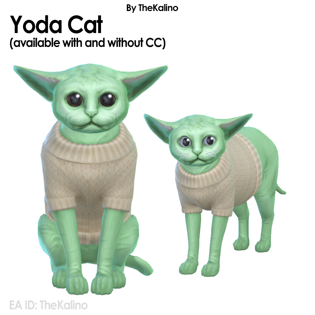 Yoda The Cat