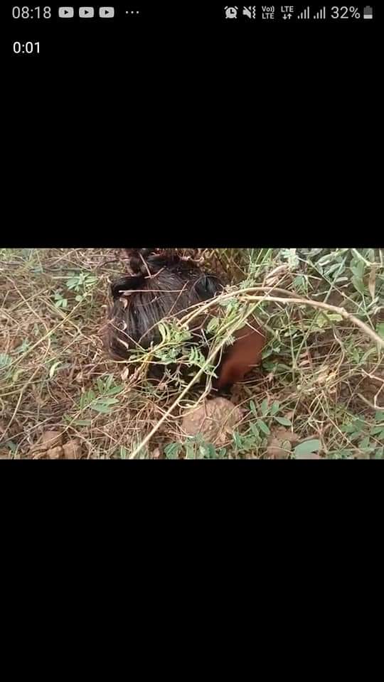 Devendra Meda (@devendra_meda) | Twitter