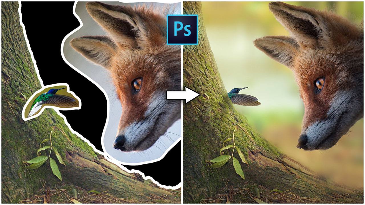 Animal Photoshop Tutorials