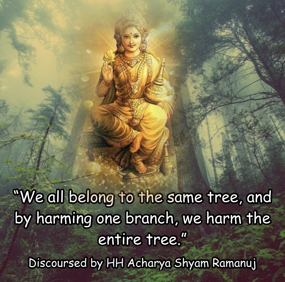 Acharya Shyam Ramanuj @SriNarayanDham (@shyam_ramanuj) | Twitter