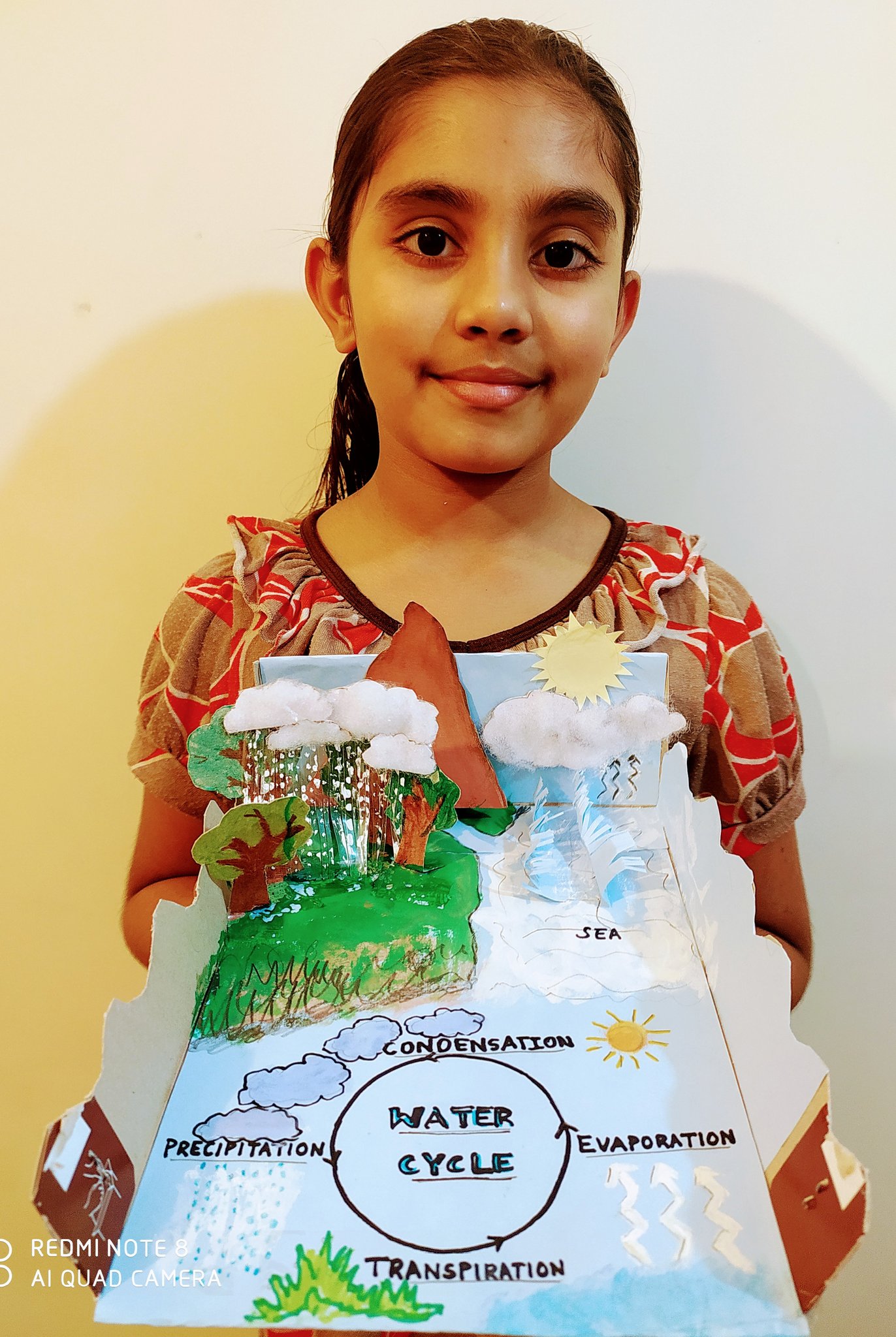 Water Cycle Model For Science Exhibition