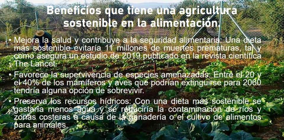 Loža Razmjena Svemirski Brod Beneficios De La Agricultura Sostenible