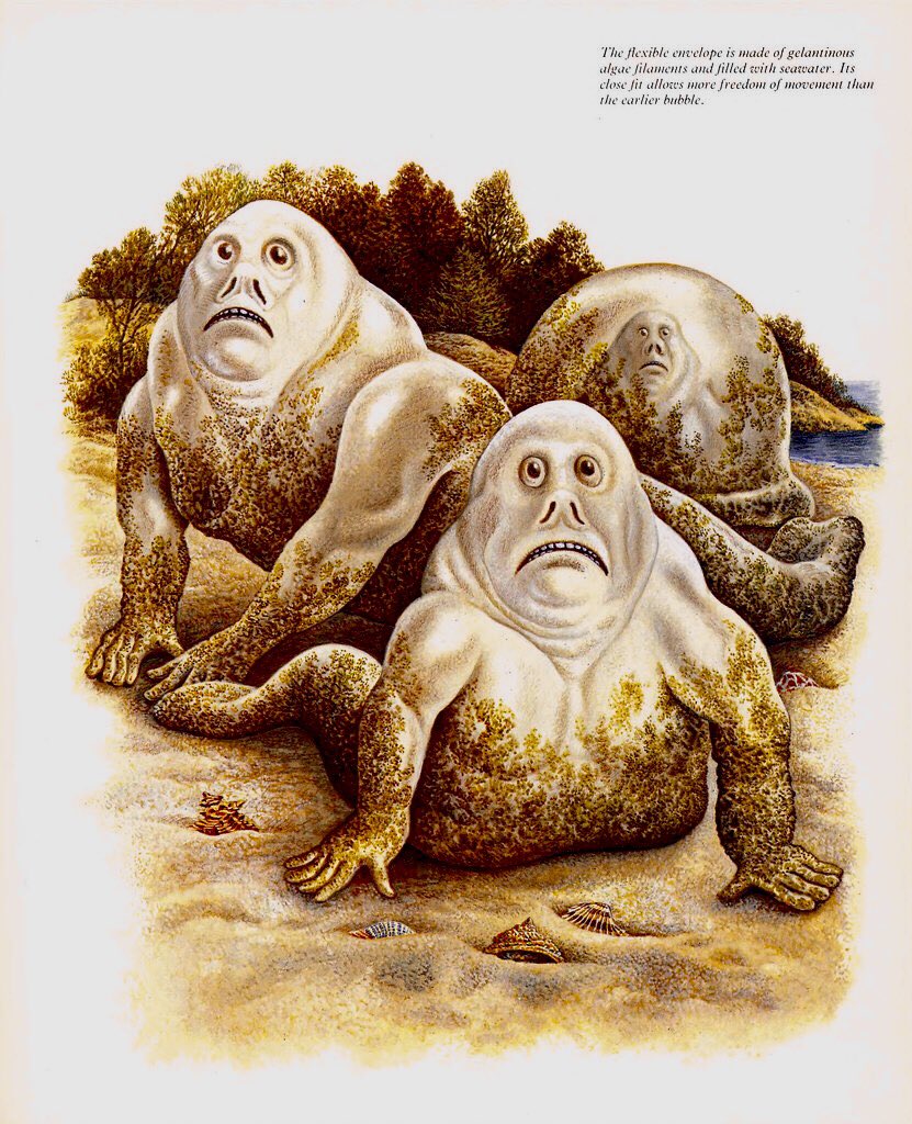 Independientemente Actuación impresión libro man after man Pagar ...