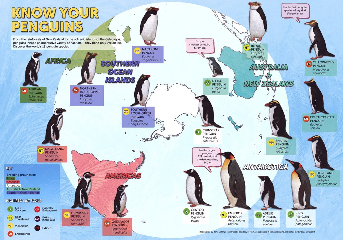 biogeografía | EL CAMPILLO