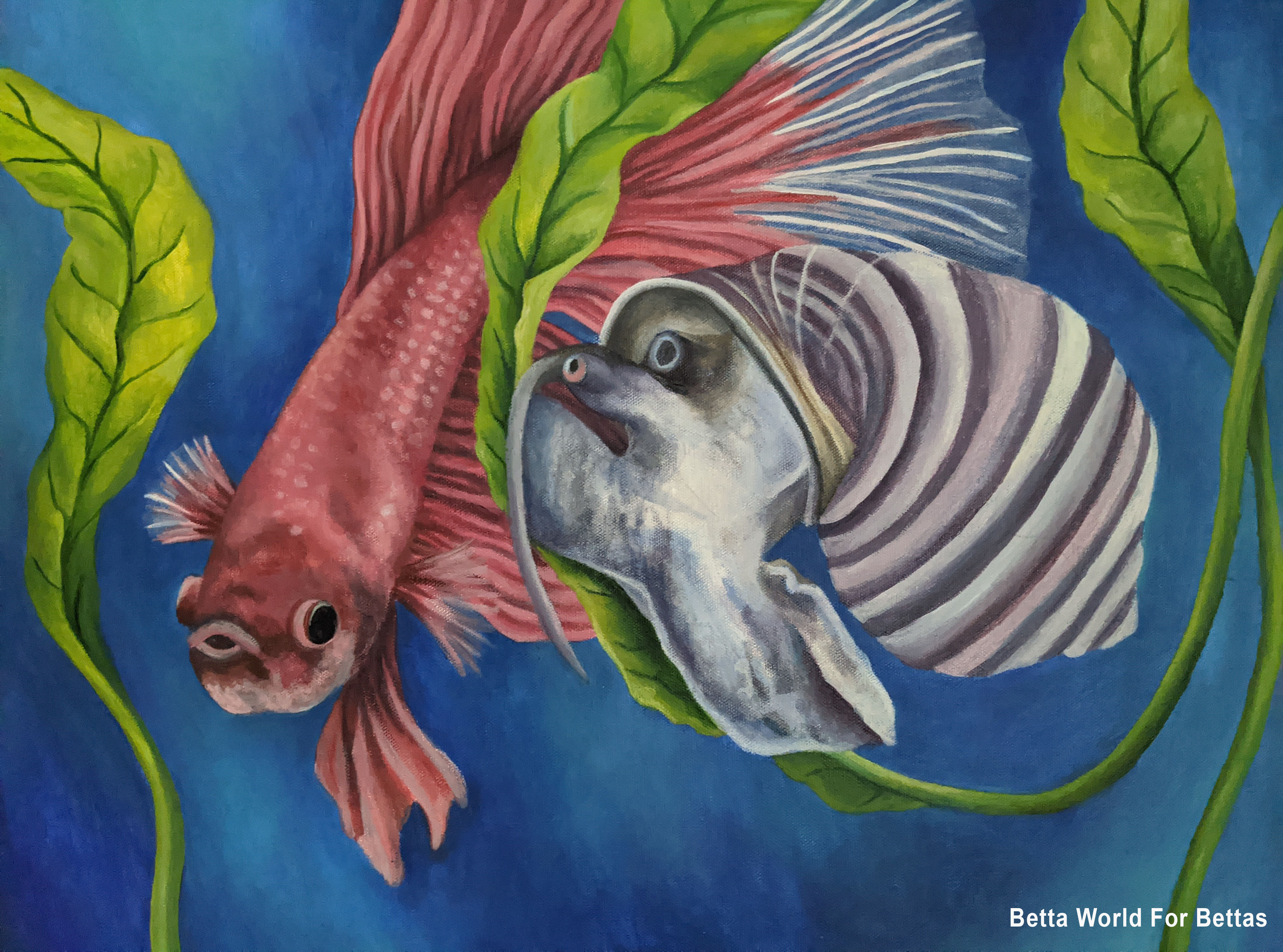 Betta Fish Acrylic Painting