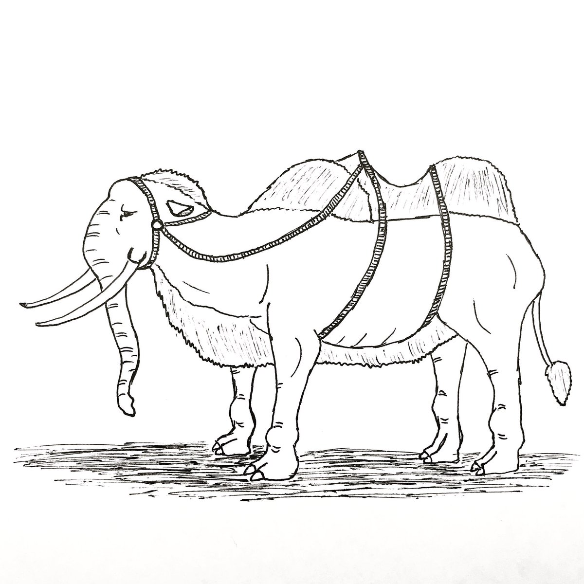 Twoucan - Eric Price (@MarathonToMay)