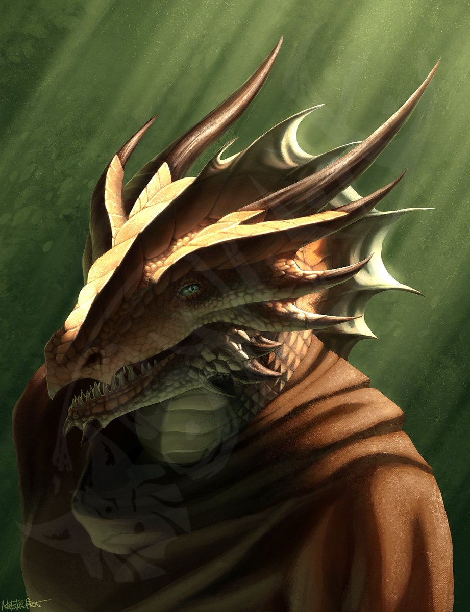 Dandd Dragonborn Ranger