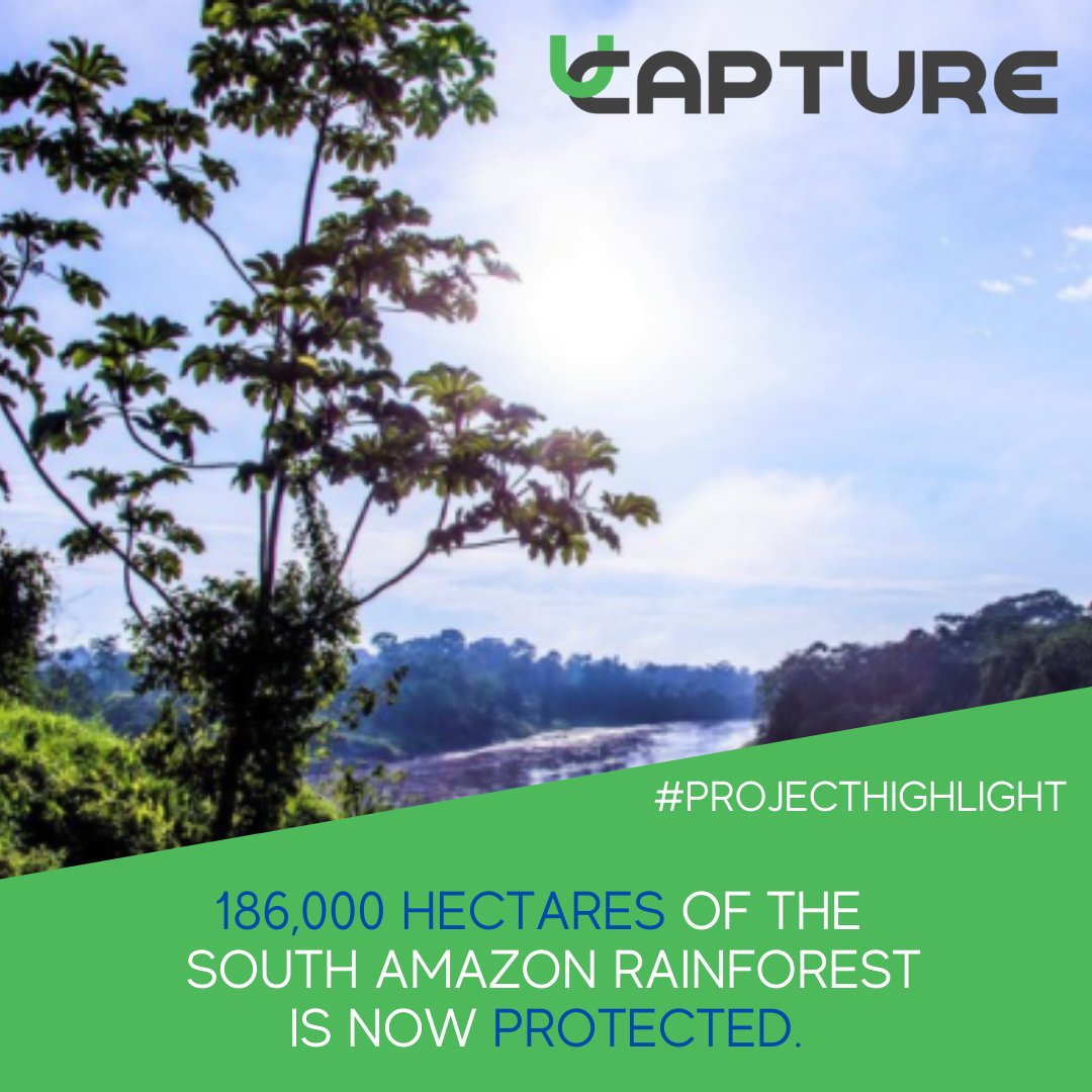 Under a sustainable forest management plan, this project protects a ...