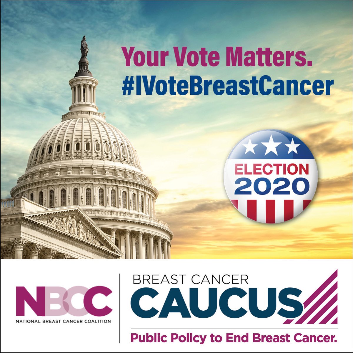 Breast Cancer Advocacy | Board Members | NBCC