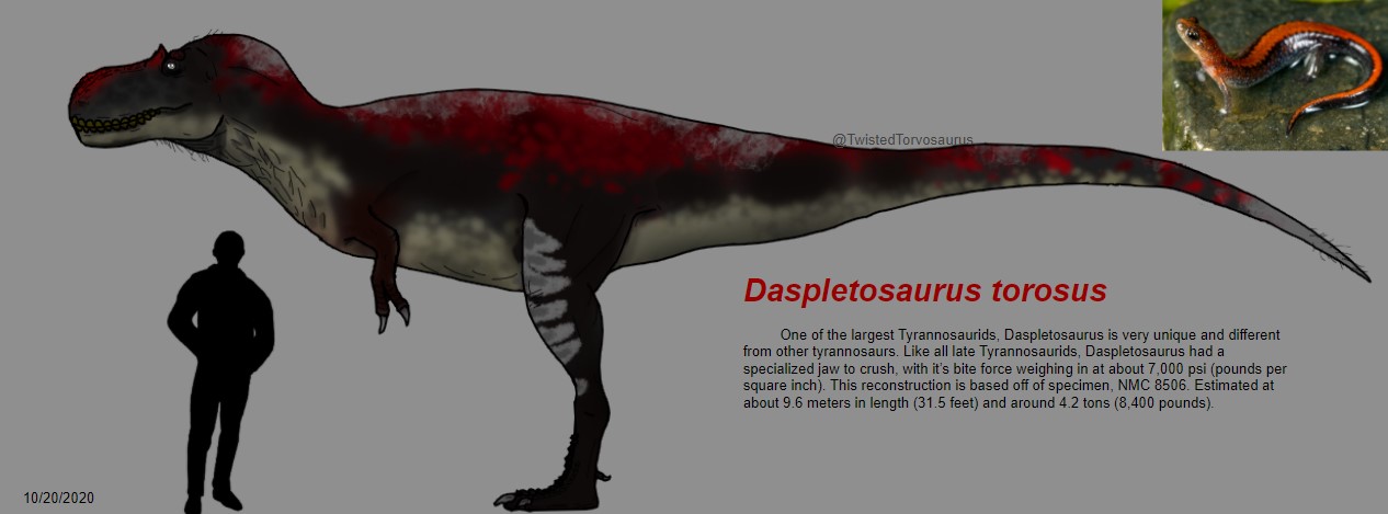 Daspletosaurus Skeleton