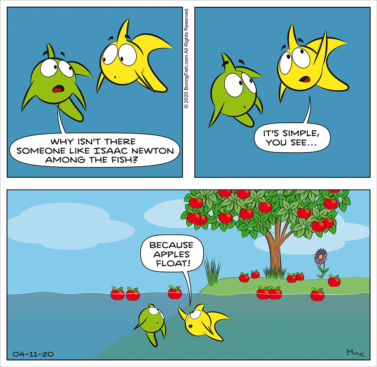 Physics Cartoons Jokes