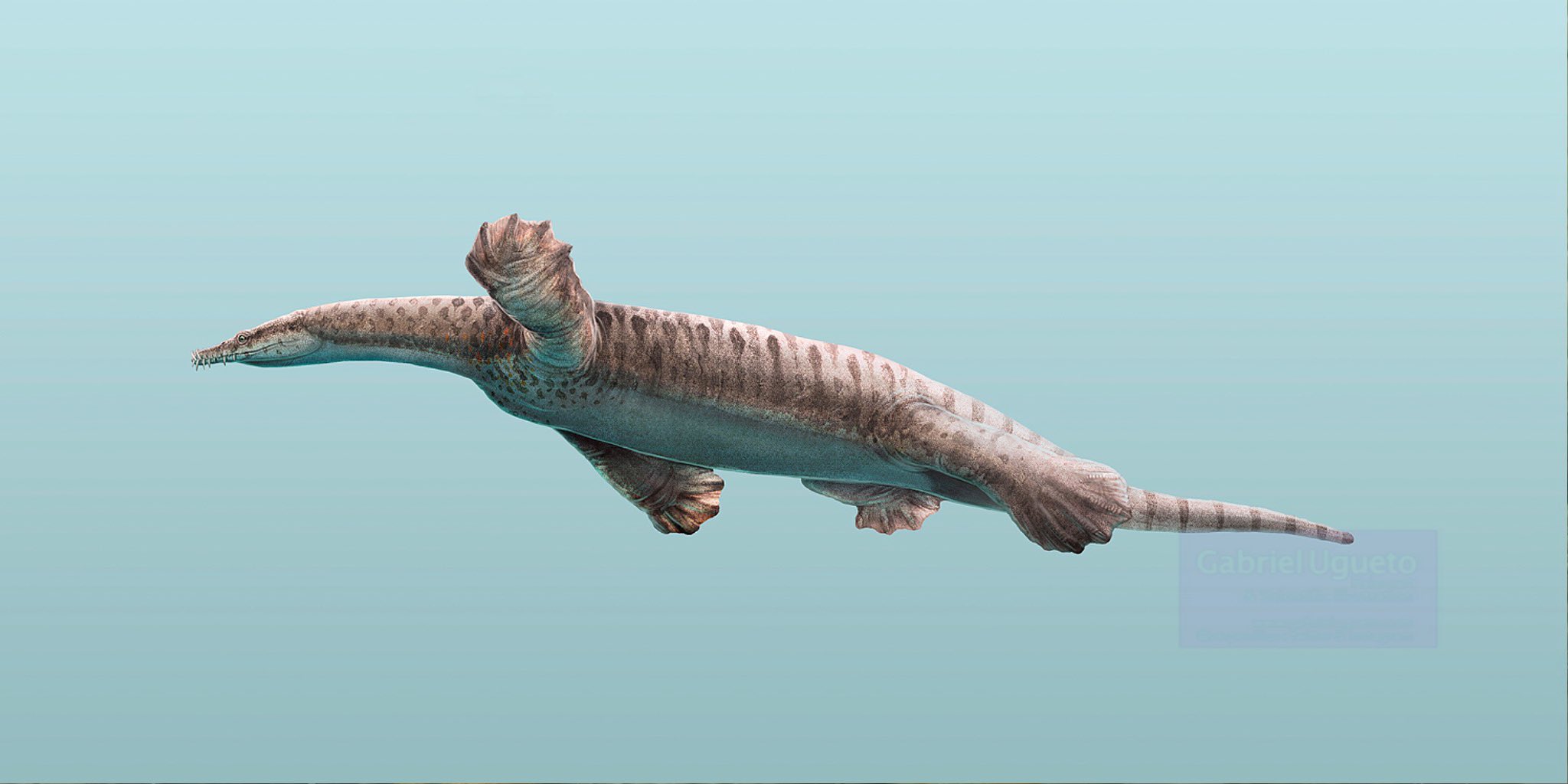 Ceresiosaurus