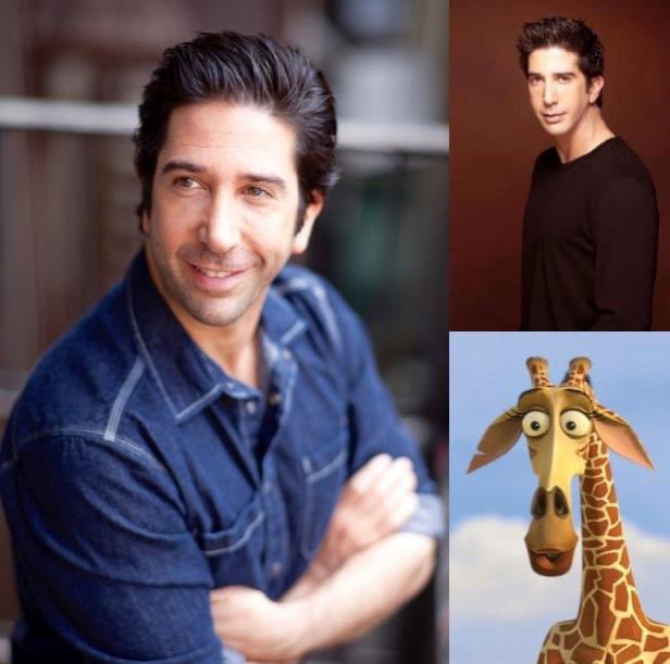 David Schwimmer Melman