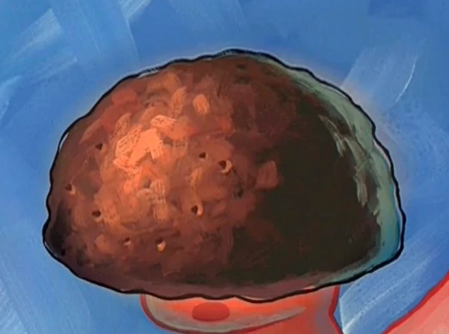 Patrick Star Pet Rock