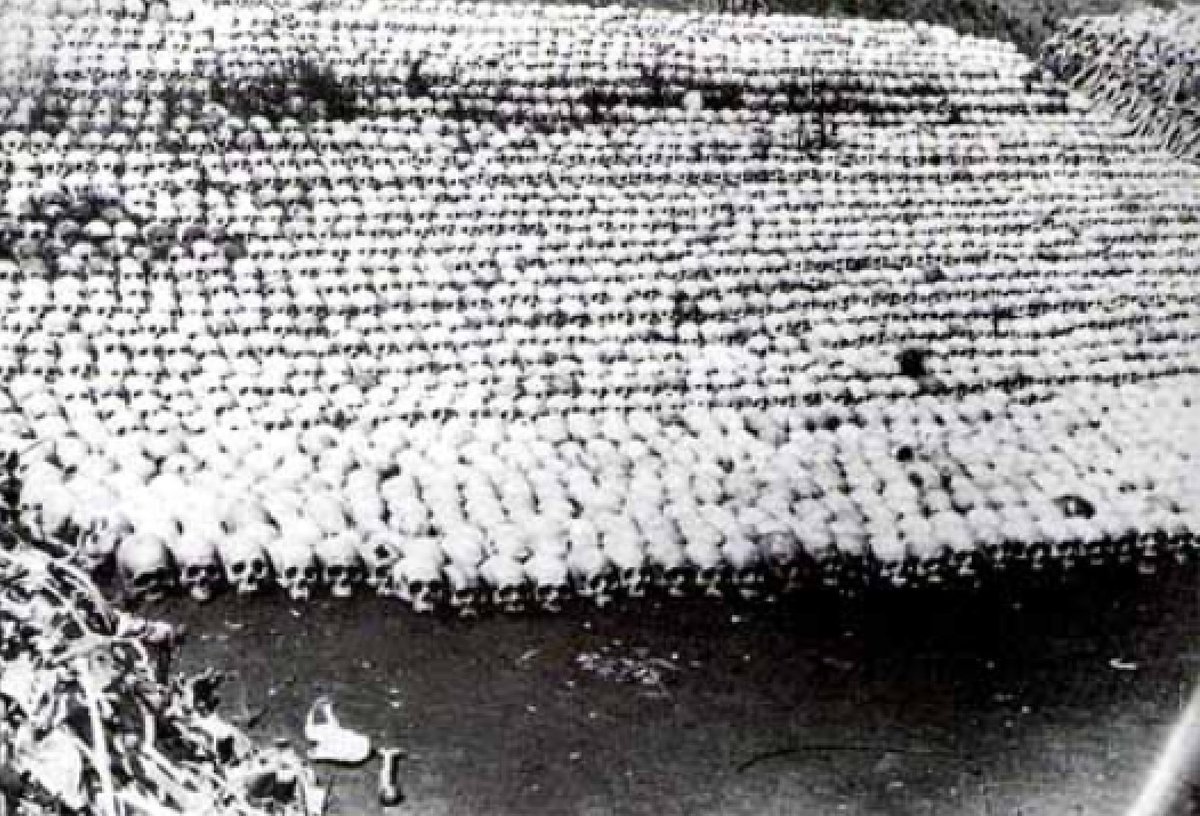 Cambodian Genocide Skulls