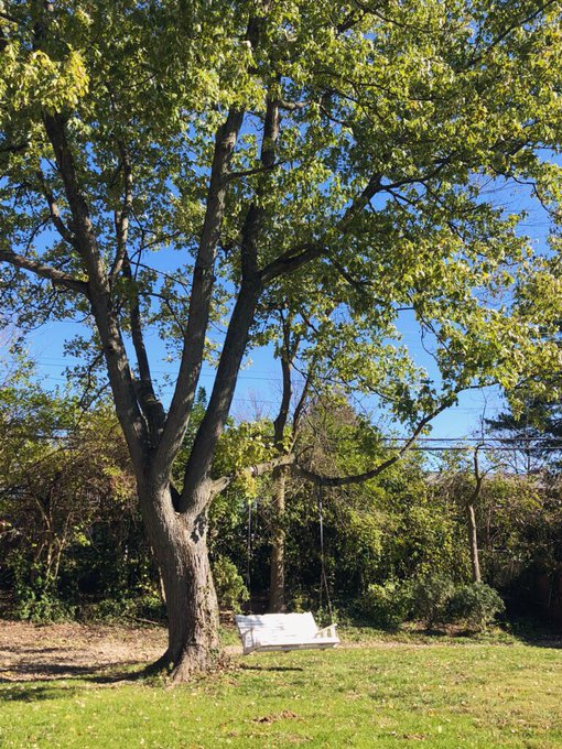 TW Pornstars - Ryley Rails. The latest pictures and videos from Twitter ...