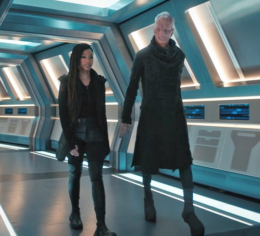 What's the substance of the argument that "Star Trek The Animated ...