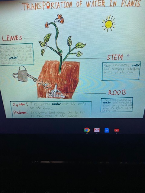 British School Salalah on Twitter: "Year 3 have been creating super ...