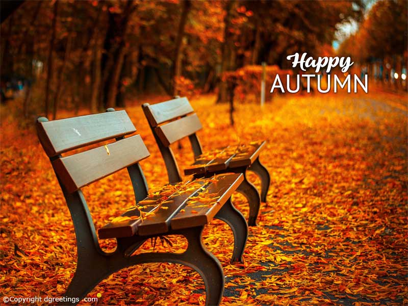 Best Autumn Wallpapers Quotes 25 𝙶𝚘𝚘𝚍