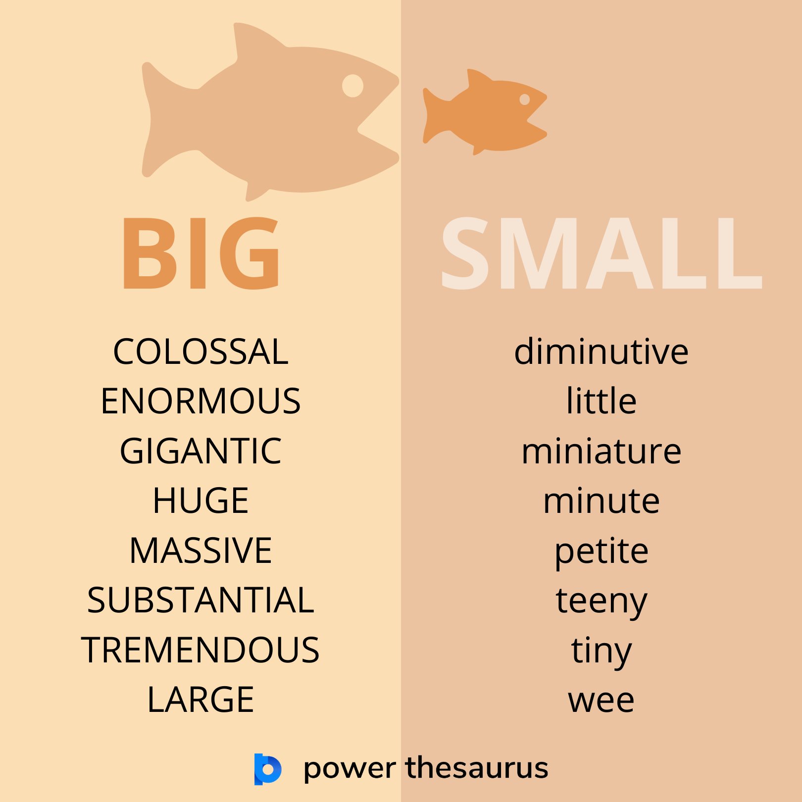 Thesaurus For Big Animal