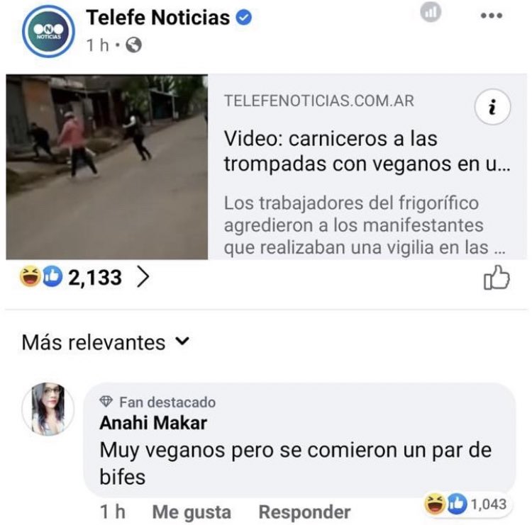 Franco Ermacora (@francoermacora1) | Twitter