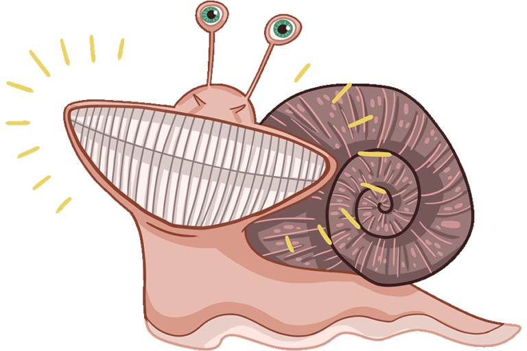Snails Teeth Cartoon