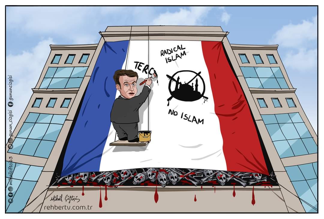 Usama Safi (@UsamaSafi3) | Twitter