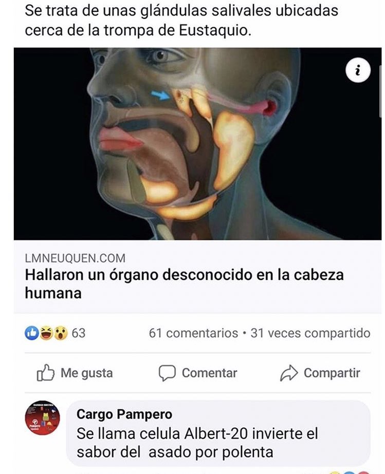 Franco Ermacora (@francoermacora1) | Twitter